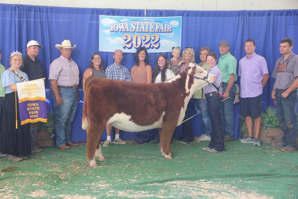 Show & Sale Info | Iowa Hereford Breeders Association