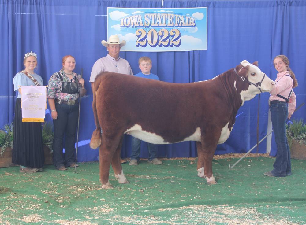 Show & Sale Info | Iowa Hereford Breeders Association